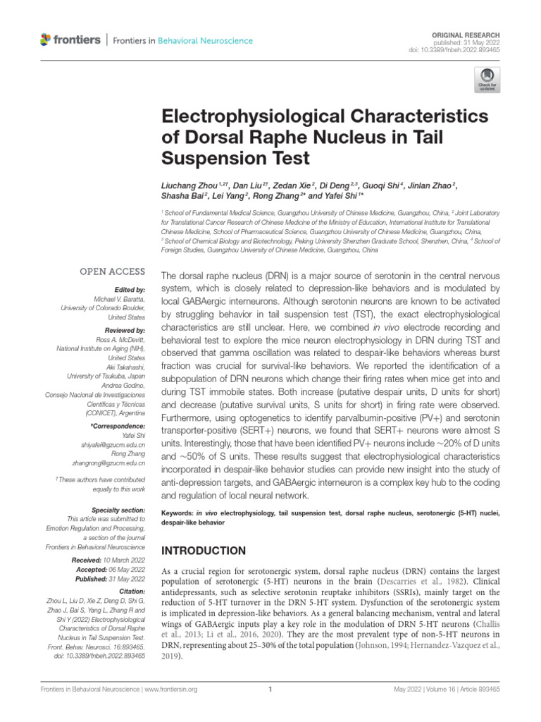 DRN Electrophysiology in Tail Suspension Test | PDF | Serotonin ...
