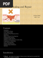 Phases of Tissue Repair Explained | PDF | Wound Healing | Extracellular ...