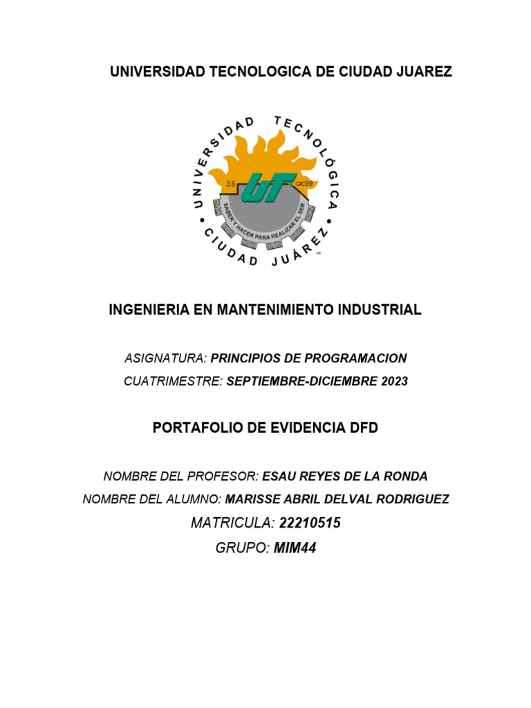 Portafolio de Evidencia DFD | PDF