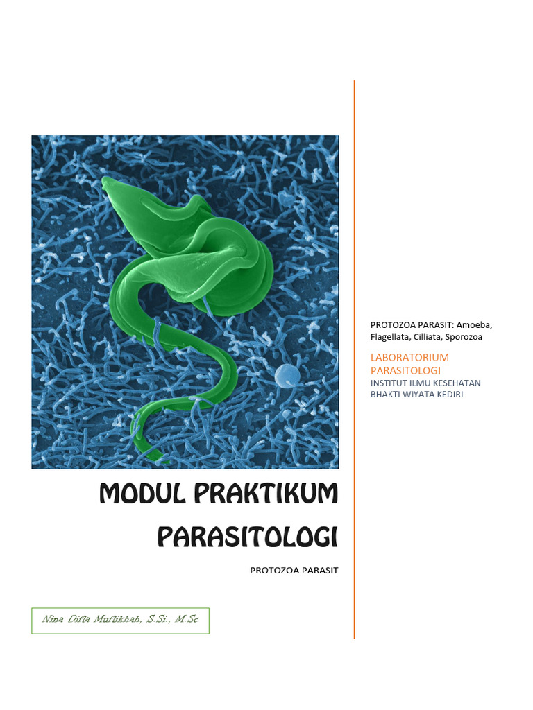 Parasit Protozoa | PDF