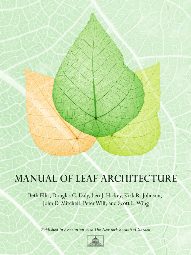 Manual of Leaf Architecture Small | PDF | Leaf | Plant Morphology