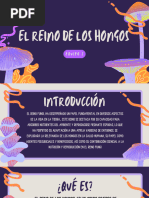 ANEXO TEMA 3 RODILLA-Fosa Intercondilea | PDF | Rodilla | Pelvis