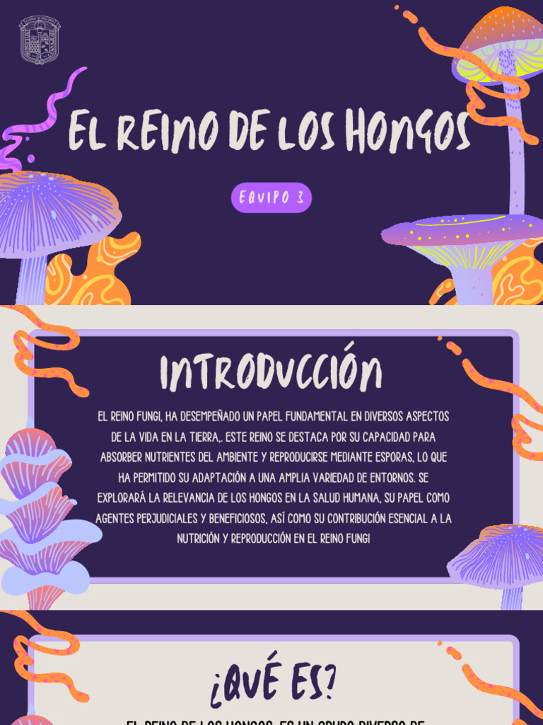 Reino Fungi - Equipo 3 | PDF | Hongo | Molde