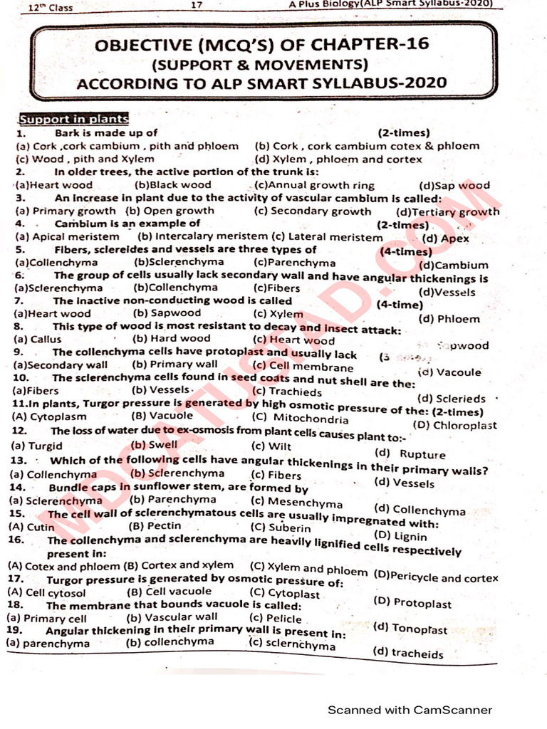 A+ Biology Model Paper 2025 PDF | PDF | Science & Mathematics