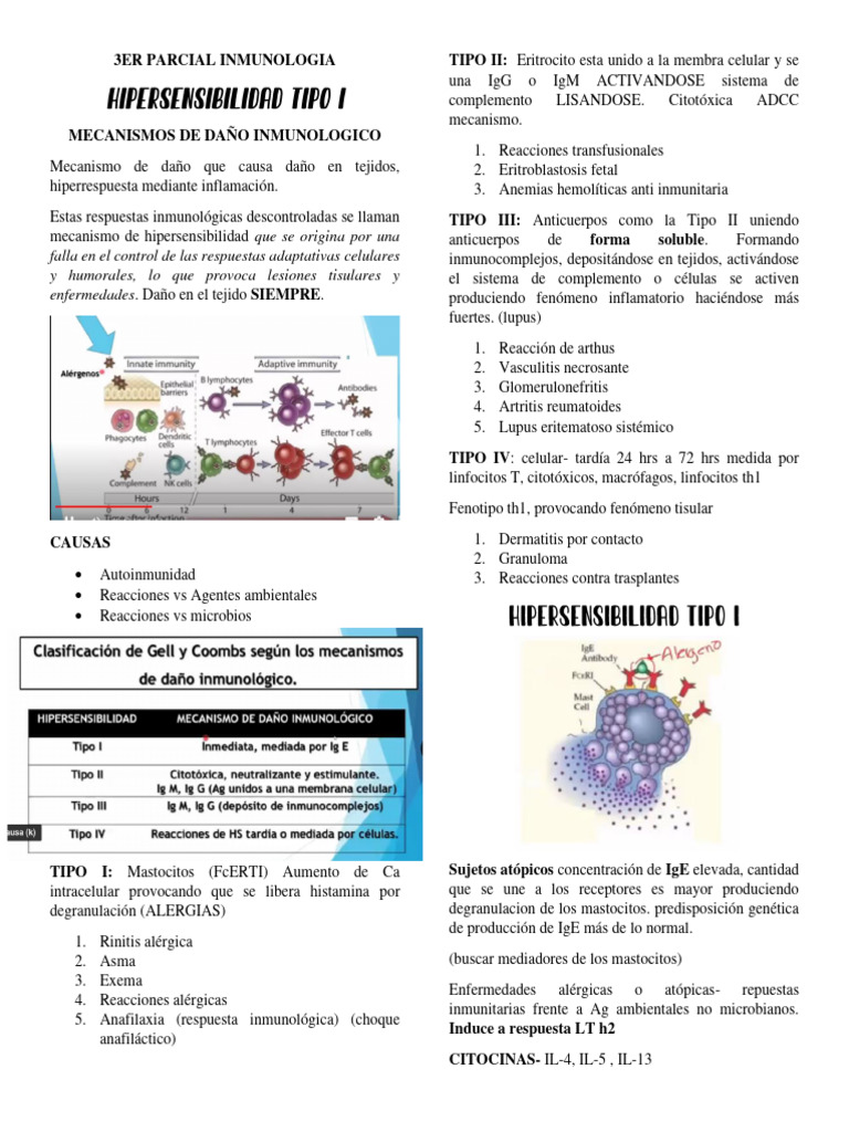 3er Parcial Inmuno | PDF | Sistema inmune | Alergia