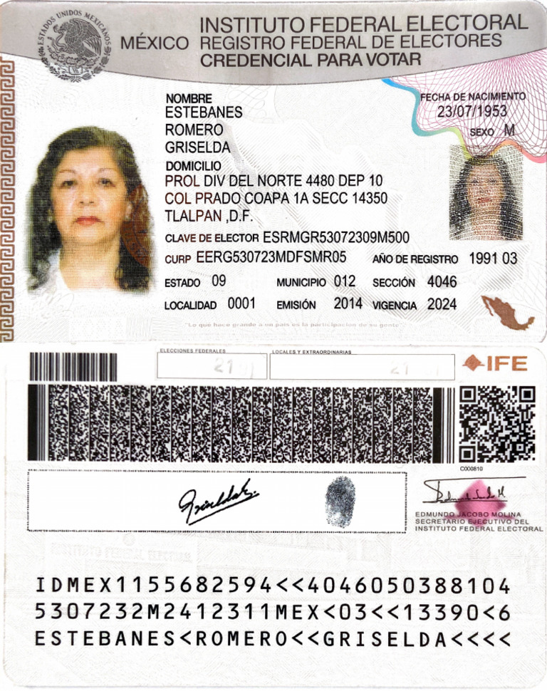 INE Griselda Estebanes Romero | PDF