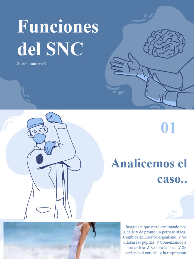 Funciones Del SNC | PDF | Sistema nervioso | Sistema nervioso central