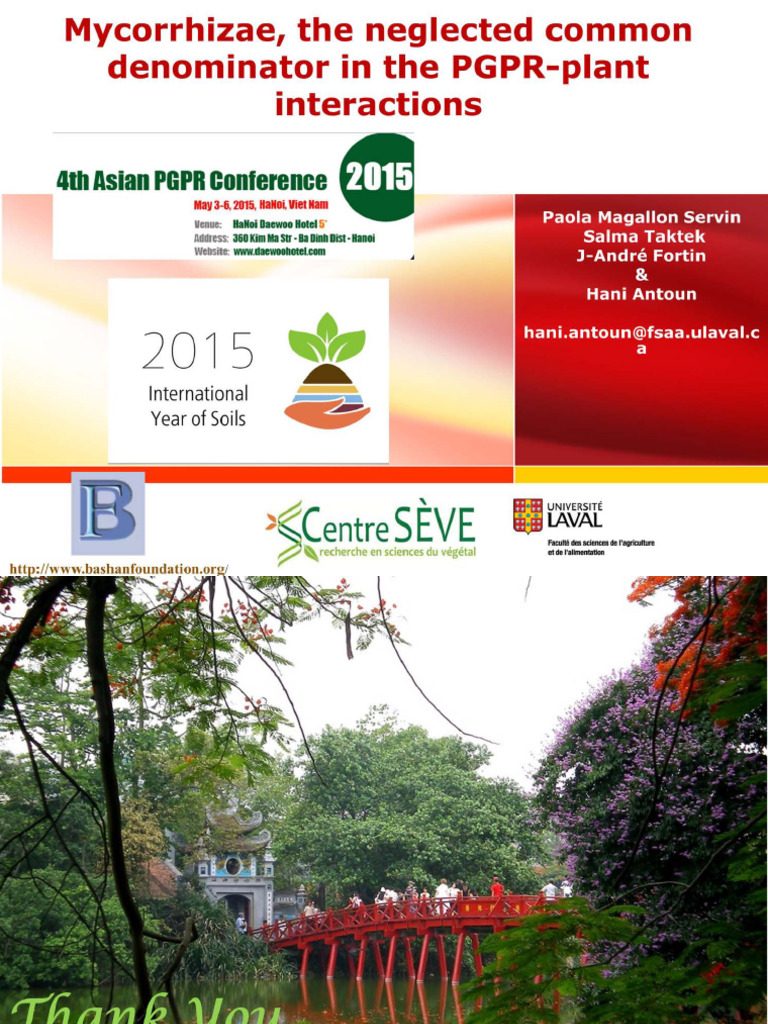 Antoun H Mycorrhiza The Neglected 4th Asian PGPR | PDF