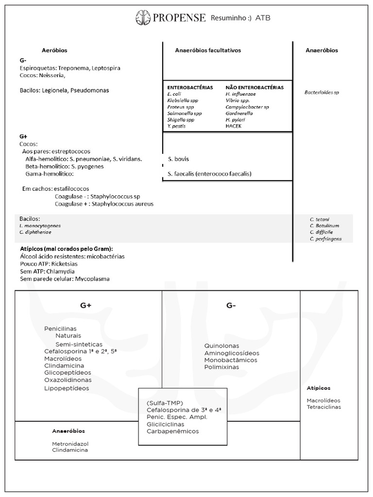Propense ATB | PDF | Penicilina | Antibióticos