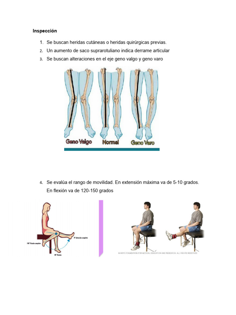 Exploración Física de Rodilla | PDF | Rodilla | Anatomía humana
