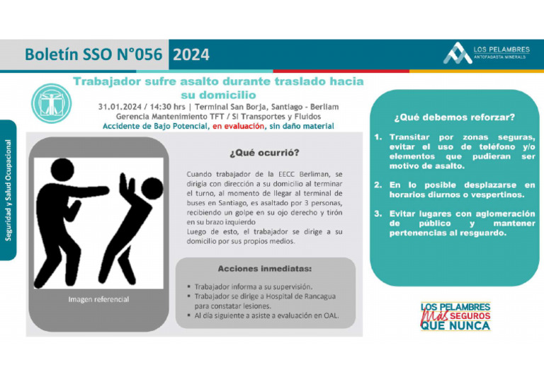 Boletin SSO N°056 | PDF