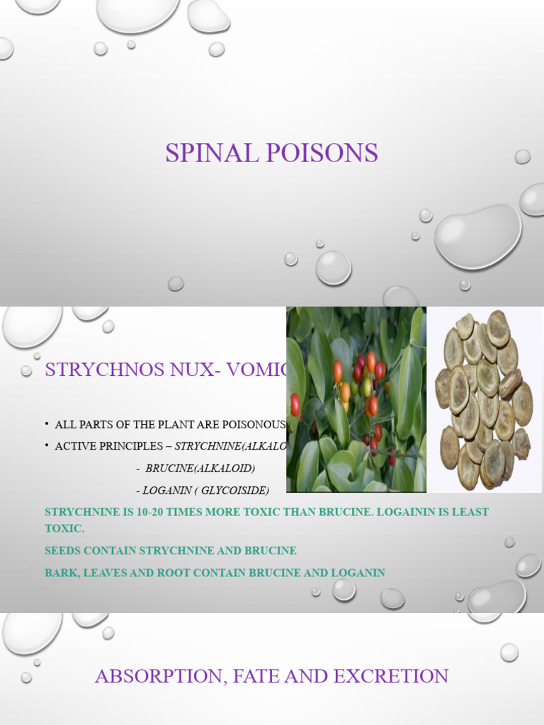 Spinal Poisons | PDF | Medical Specialties | Clinical Medicine