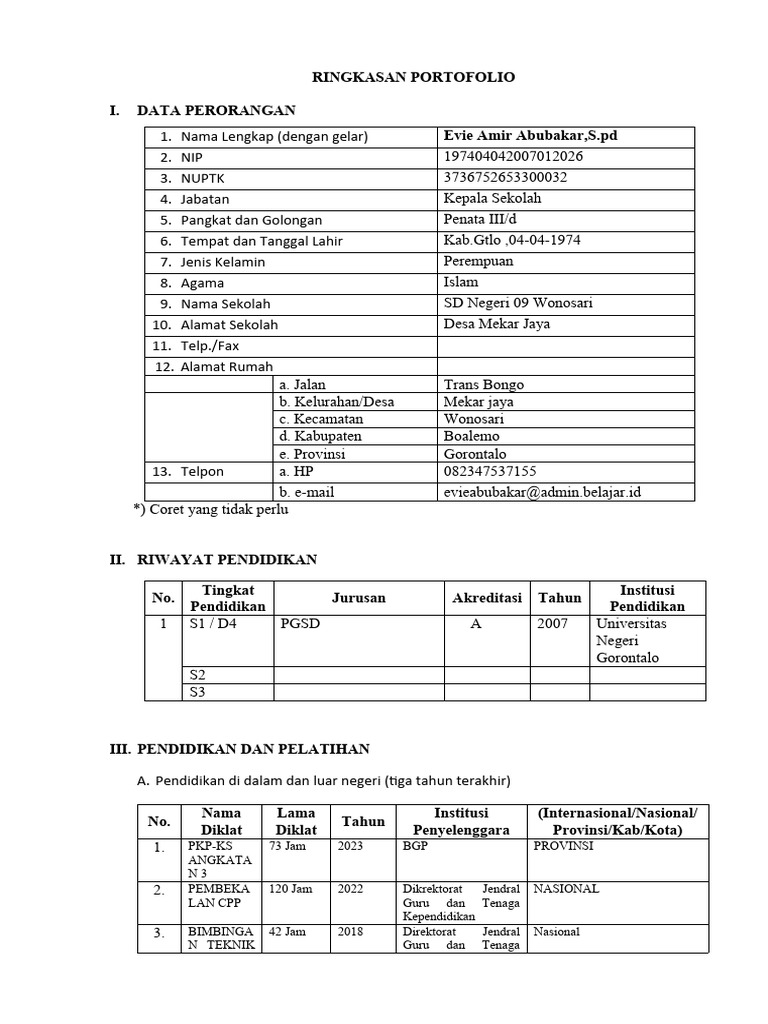 Ringkasan Portofolio Evie Amir Abubakar | PDF