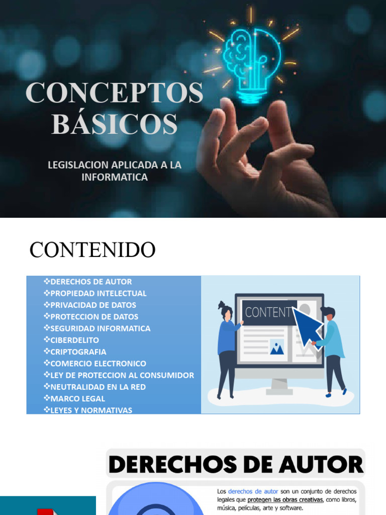 Conceptos Básicos Legislacion Informatica | Descargar gratis PDF ...
