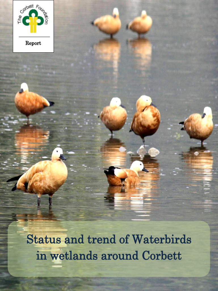 Waterfowl Census Report | PDF | Birds Of Eurasia | Holarctic Birds