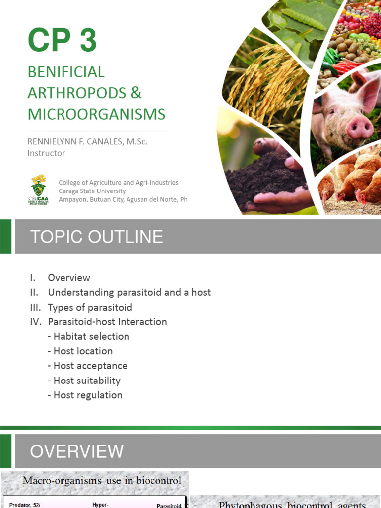 C1 Chapter 3 Lesson 1a Parasitoid | PDF | Parasitism | Hexapoda
