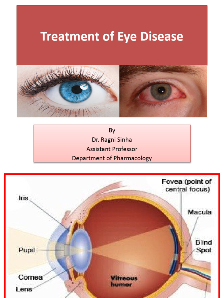 Drugs For Eye Disease | PDF | Glaucoma | Visual System