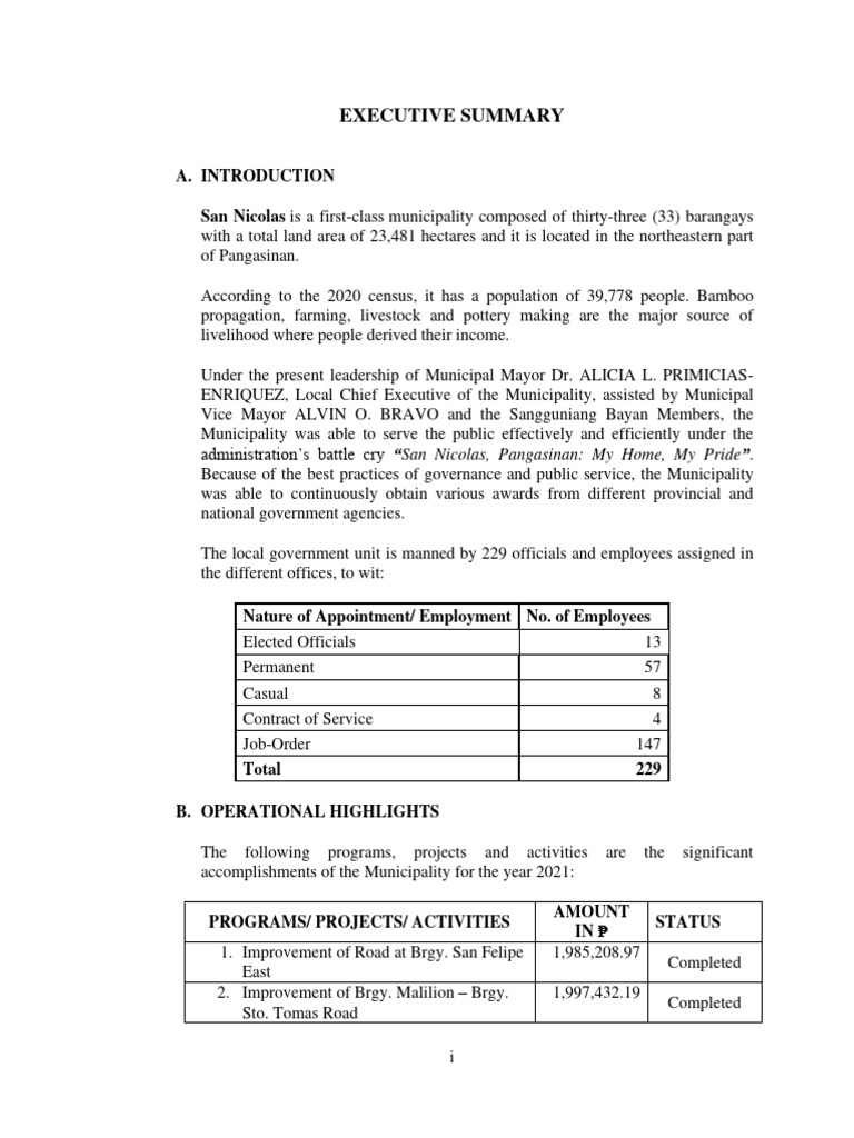 San Nicolas Executive Summary 2021 | PDF | Audit | Financial Statement
