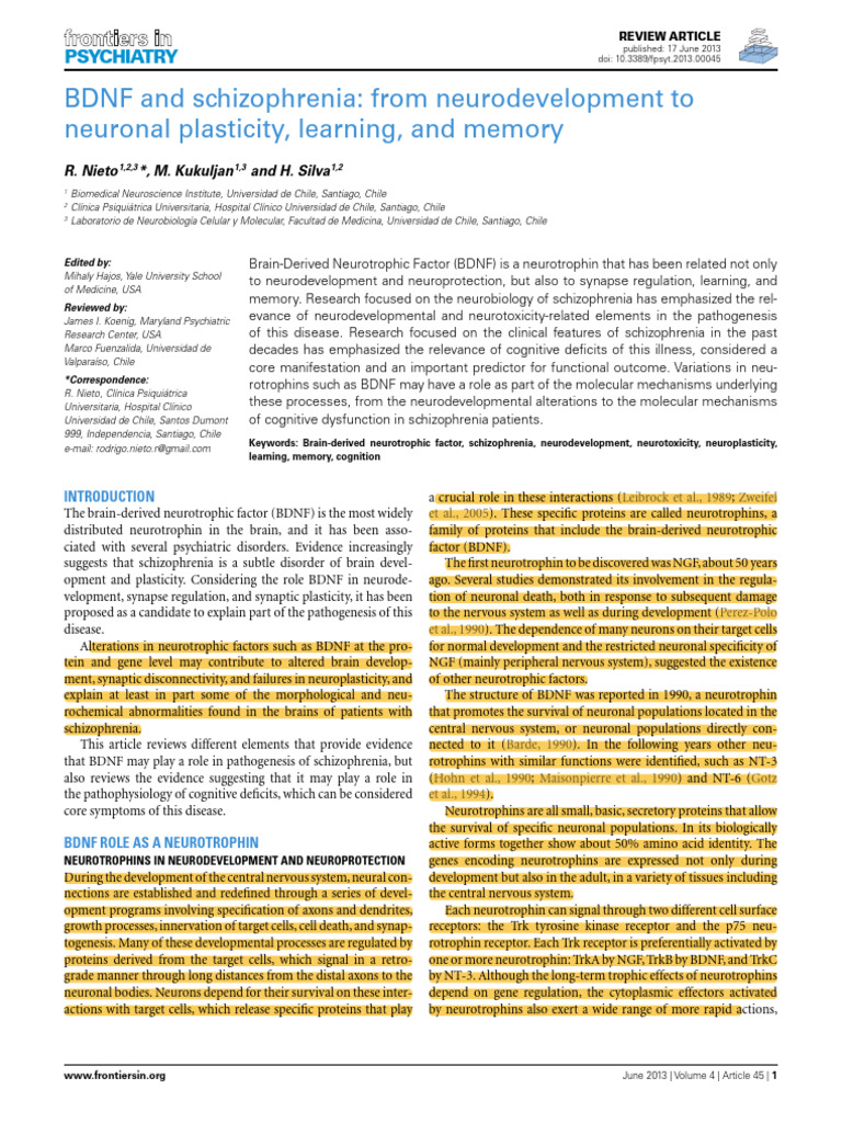 BDNF & Skizofrenia Neurodevelopment ; Nieto 2013 | PDF | Schizophrenia | Synapse