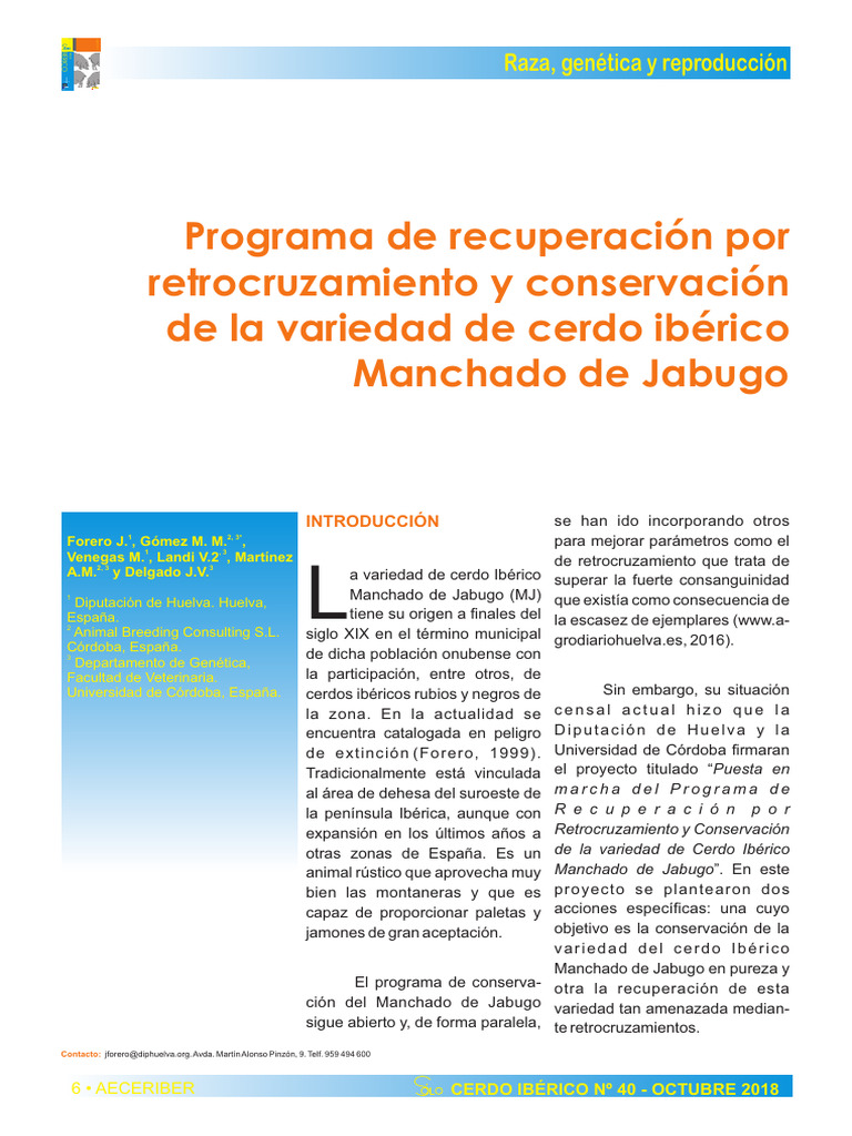 001 Retrocruzamiento en El MJ V2 | PDF | Cigosidad | Cerdo