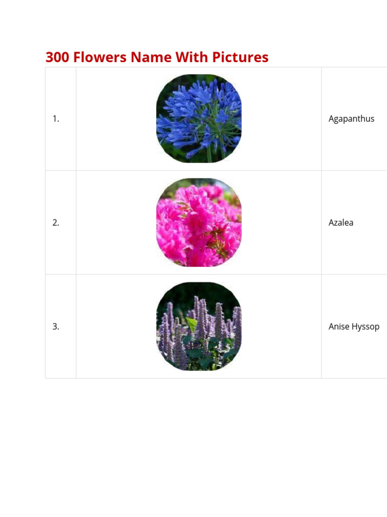 300 Flowers Name With Pictures | PDF
