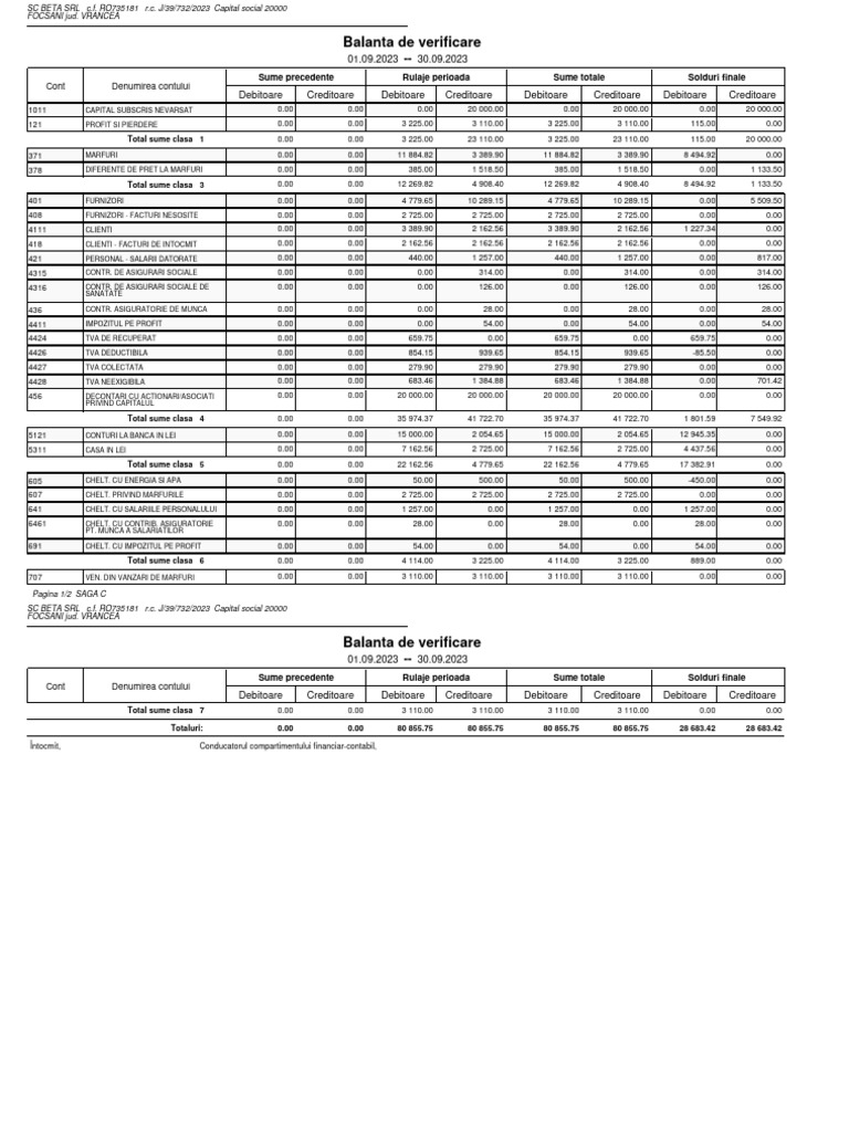 Balanta de Verificare 07022024 141132 | PDF