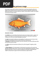 Respiration et branchies des poissons | PDF | Branchie | Physiologie ...