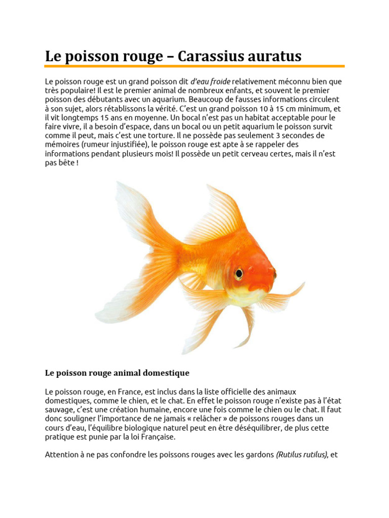 Le Poisson Rouge | PDF