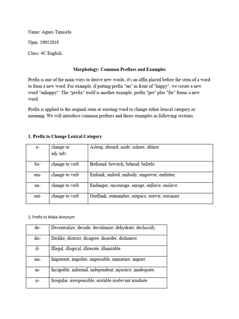 Prefix in Morphology Task Agnes | PDF | Linguistic Morphology | Morphology