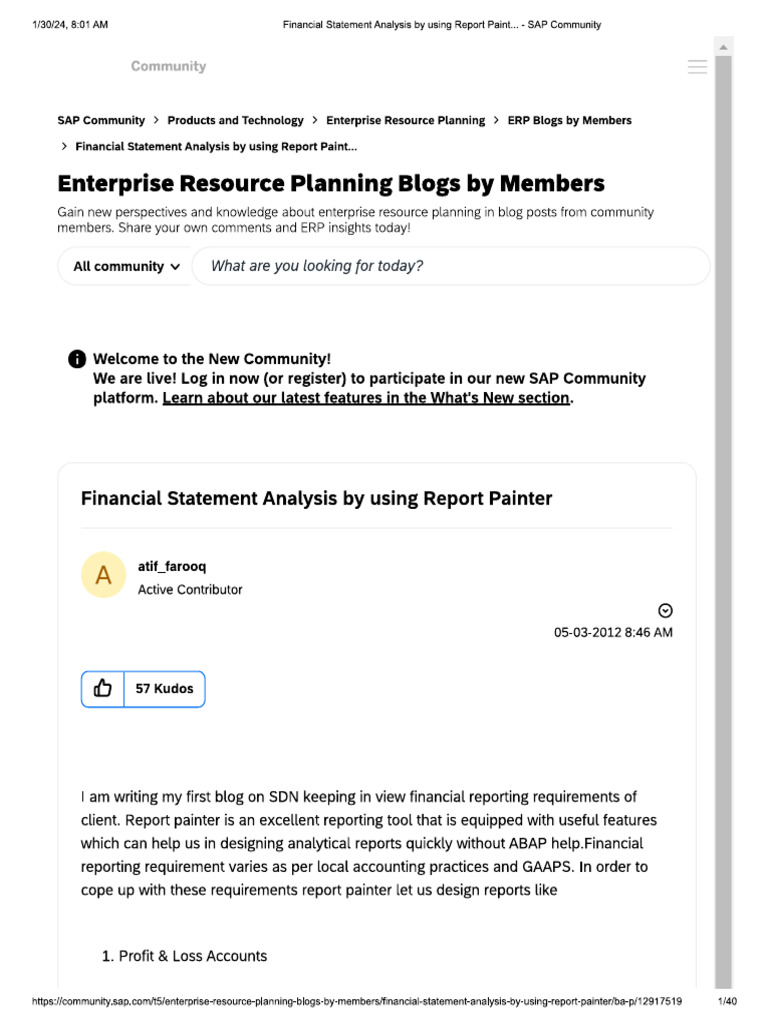 Report Painter | PDF