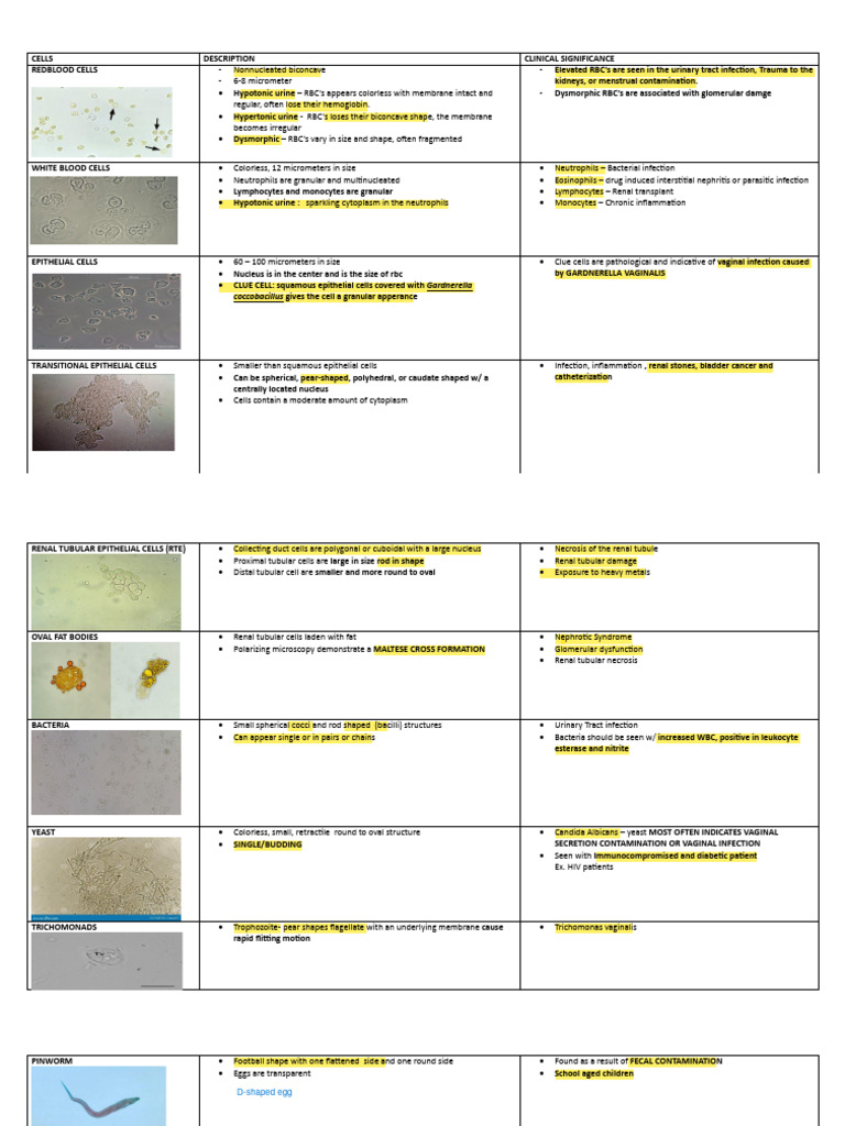 Aubf Lab Reviewer 2 | PDF | Medical Specialties | Clinical Medicine