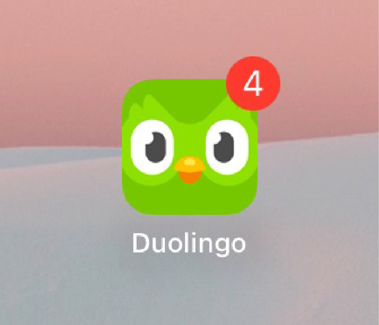 Duolingo Icon | PDF