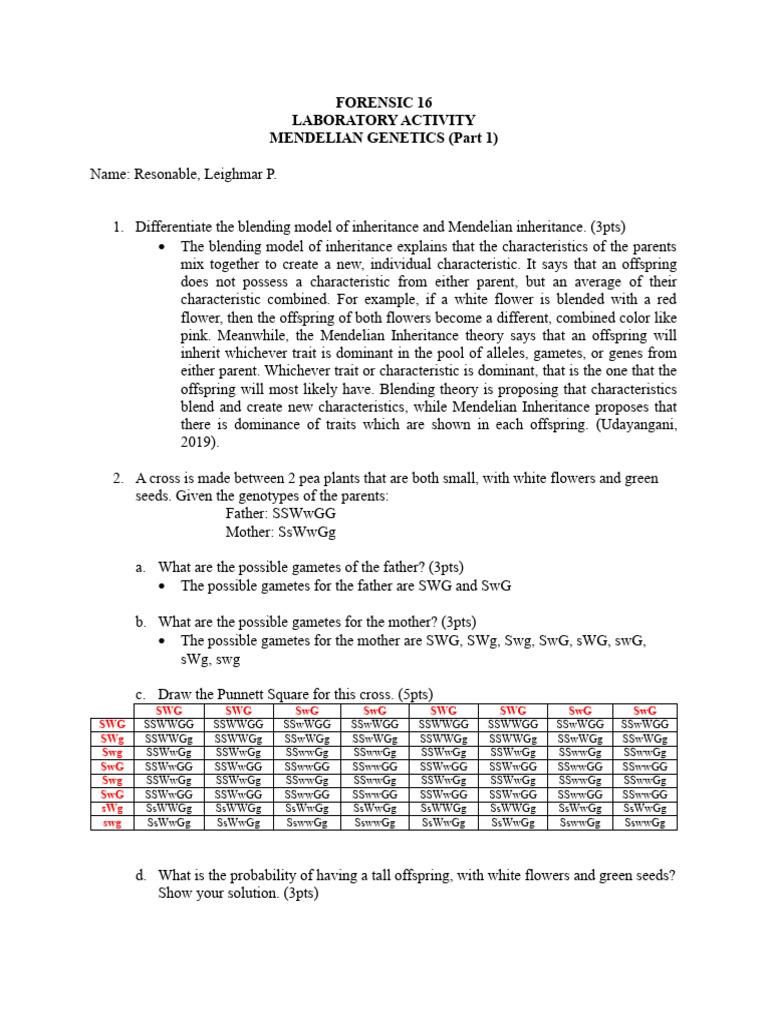 Lab Activity | PDF