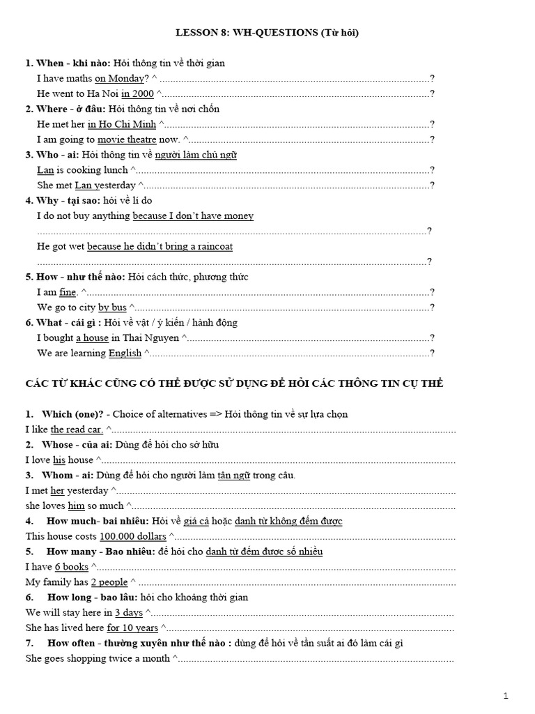 LESSON 8 WH-QUESTIONS | PDF