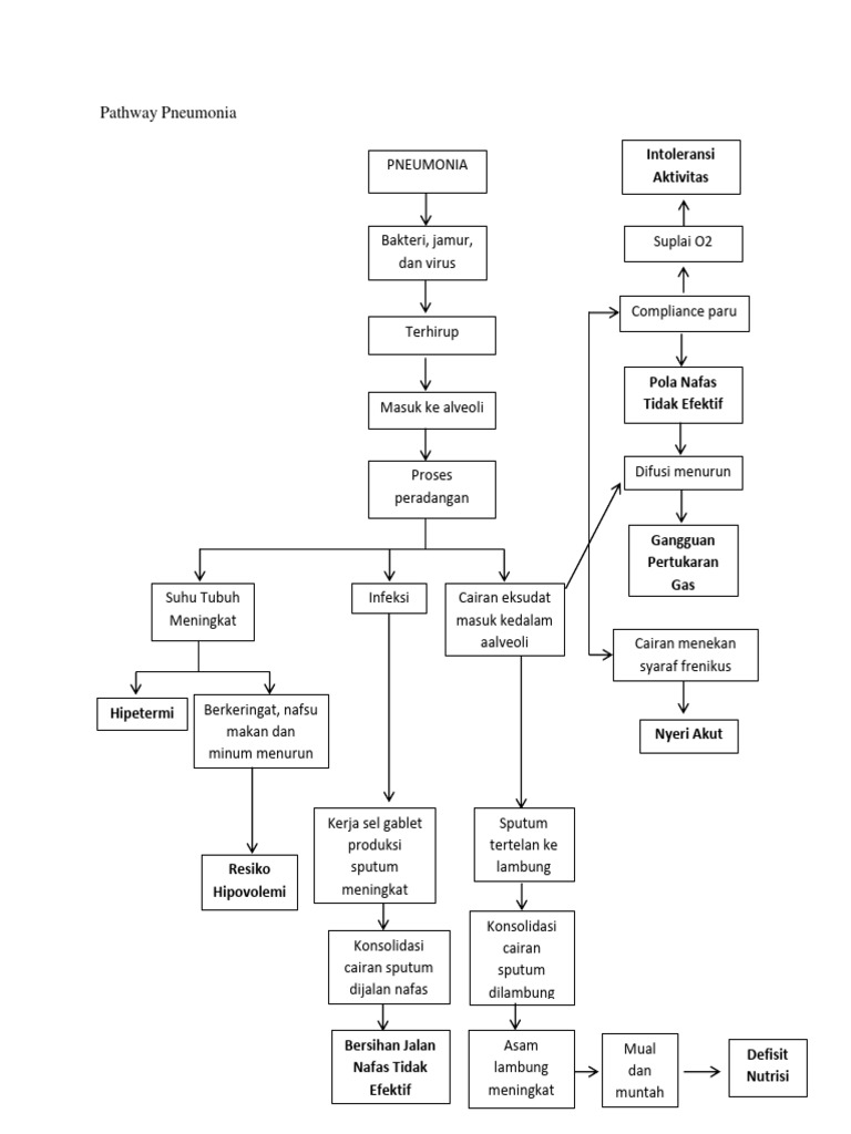 Pathway Pneumonia | PDF