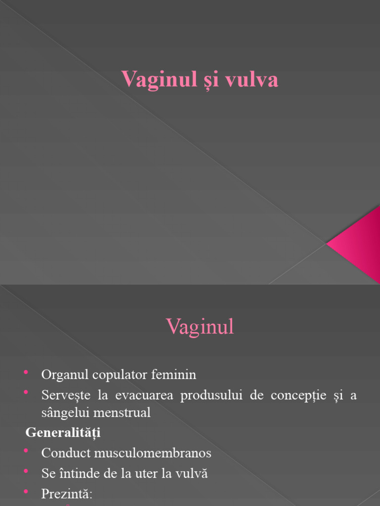 Vaginul Si Vulva | PDF