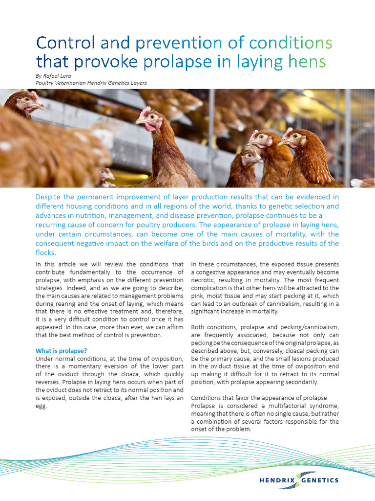 Prolapse Pdf