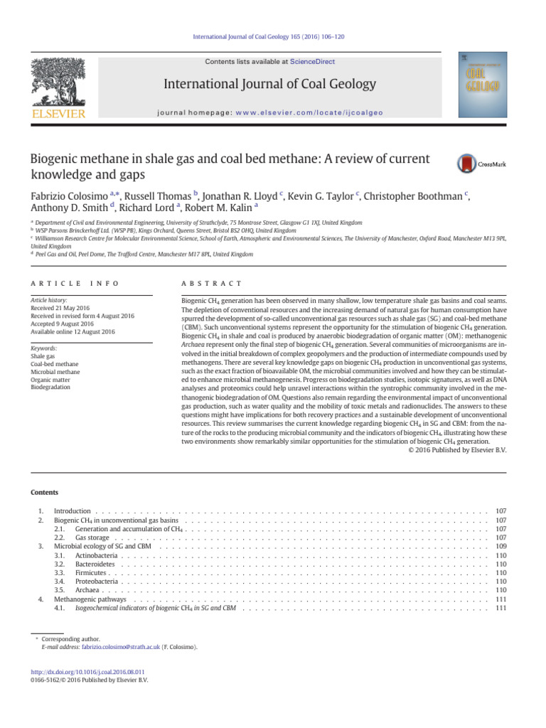 Biogenic Methane in Shale and Coal | PDF | Methane | Adsorption