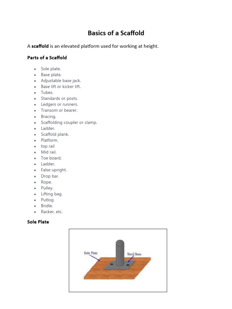 Basics of A Scaffold | PDF
