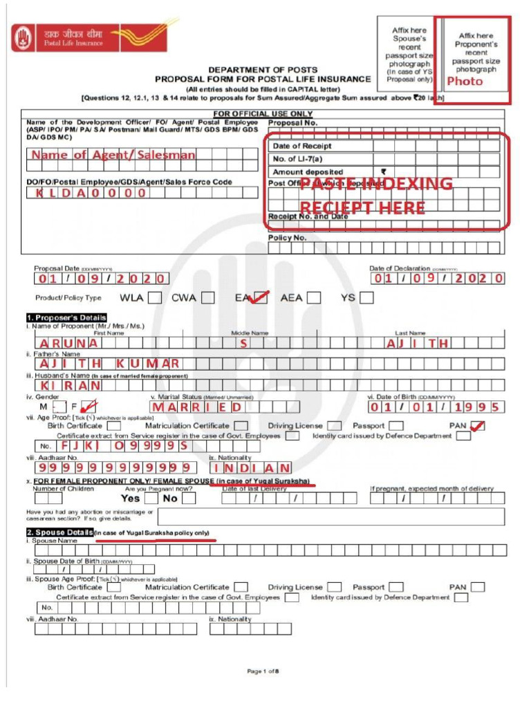 FILLED PLI FORM FORMAT Yes | PDF