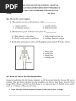 Nervous System Worksheet Grade 5 | PDF | Nervous System | Spinal Cord