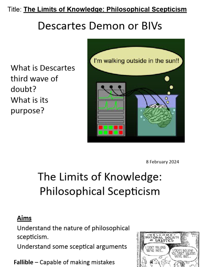 Understanding Philosophical Scepticism | PDF | Knowledge | Experience