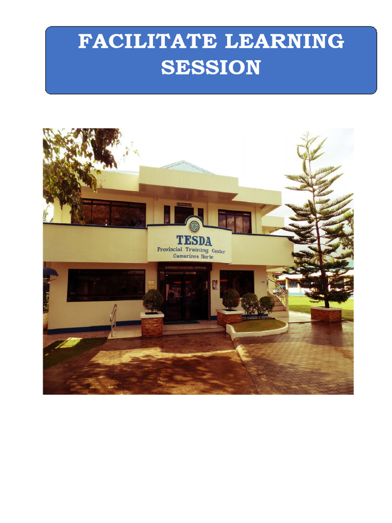 Facilitate Learning Session Guide | PDF | Learning | Cognition