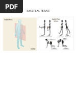 Planes and Axes of Movement - Movement Analysis in Sport - Eduqas ...