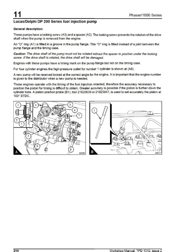 Lucas Delphi DP200 Fuel Pump | PDF