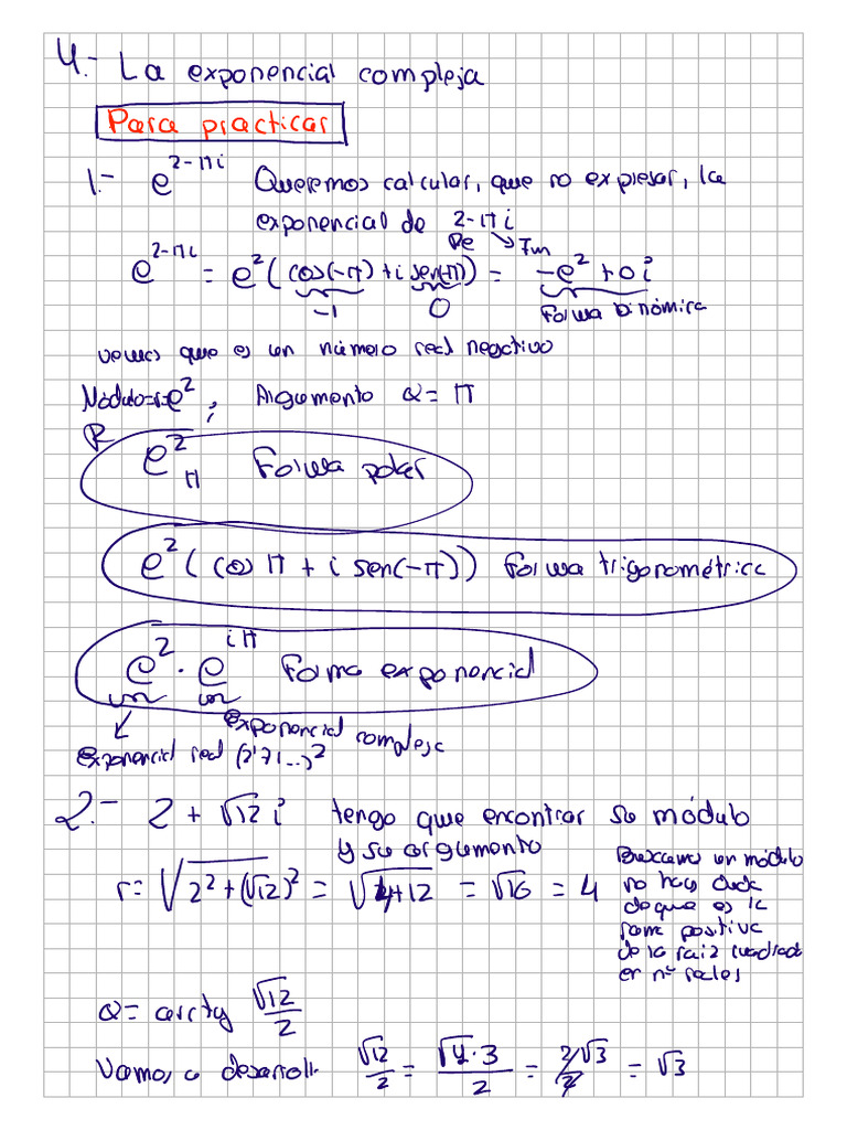 4 La Exponencial Compleja | PDF