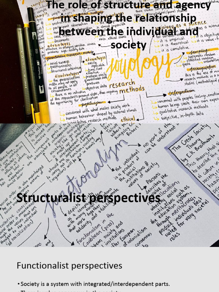The Role of Structure and Agency in Shaping The Relationship Between ...