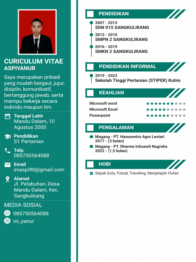 CV Baru | PDF