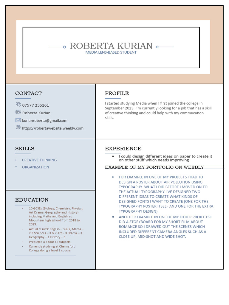 CV For Work Experience | PDF