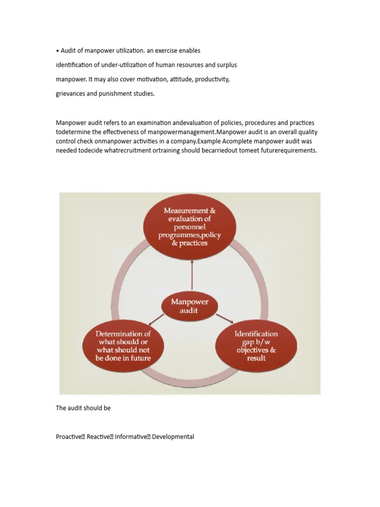 Audit of Manpower Utilization | PDF